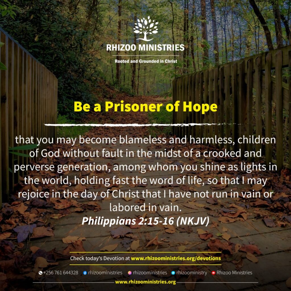 Be a Prisoner of Hope – Rhizoo Ministries
