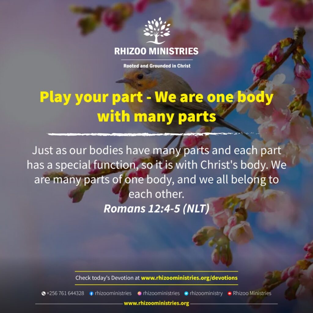 Play your part- We are one body with many parts. – Rhizoo Ministries