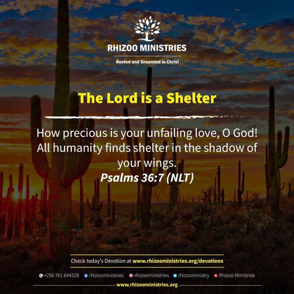 The Lord is a Shelter – Rhizoo Ministries