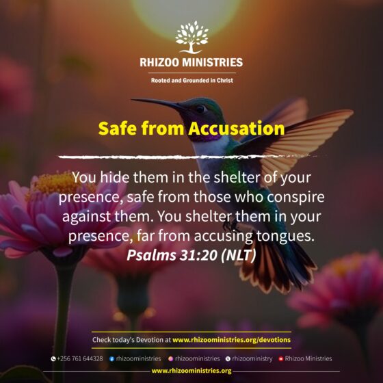 Safe from Accusation – Rhizoo Ministries