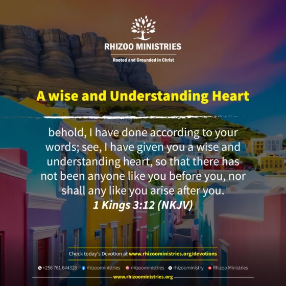 A wise and Understanding Heart – Rhizoo Ministries